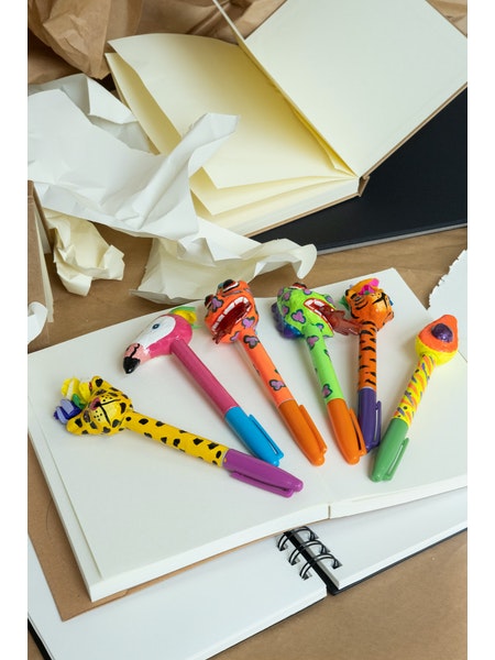 Notebooks, Pens and Shakers – Crazy Ladies & More Inc.